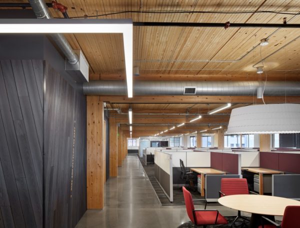 Timber Towers | IA Interior Architects